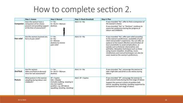 labour care guide ppt .pptx labour care guide ppt .pptx