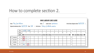 labour care guide ppt .pptx labour care guide ppt .pptx