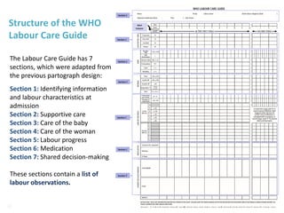 Labour careguide WHO slidedoc_240417_080943.pdf