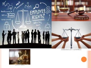 Labour law | PPTX