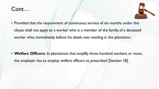 the plantation labour act , 1951 | PDF