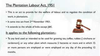 the plantation labour act , 1951 | PDF