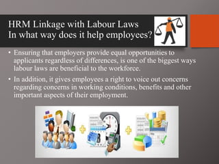 Labour laws | PPTX