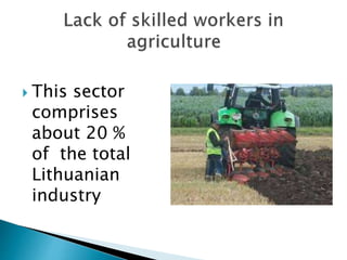 Labour market in lithuania | PPTX