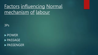 labour mech.pptx