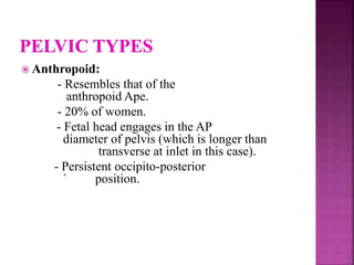Mechanism of labour | PPT