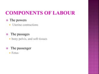 Mechanism of labour | PPT