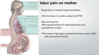 Labour Pain and its effects.pptx