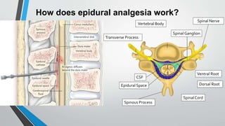 Labour Pain and its effects.pptx