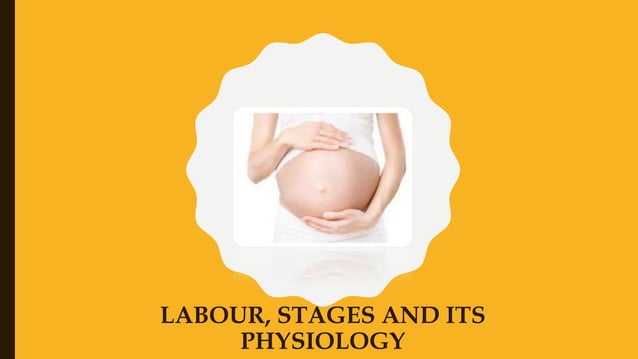 Labour, Stages and its Physiology in obg | PPT | Pregnancy ...