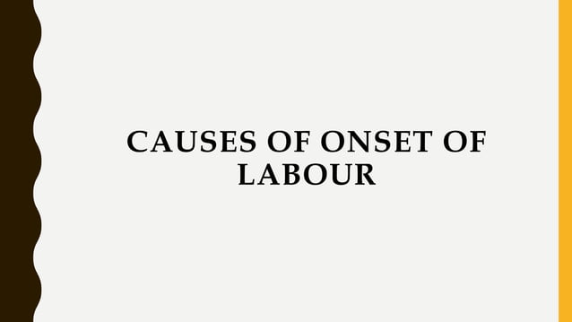 Labour, Stages and its Physiology in obg | PPT | Pregnancy ...