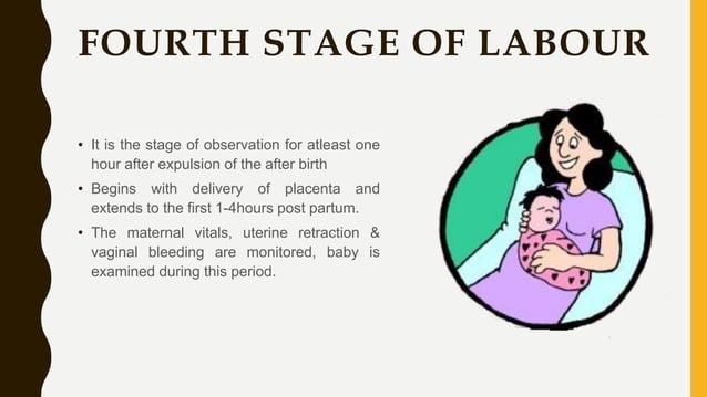 Labour, Stages and its Physiology in obg | PPT | Pregnancy ...