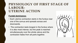 Labour, Stages and its Physiology in obg | PPT