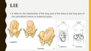 Labour, Stages and its Physiology in obg | PPT