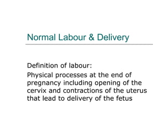 Labour tutorial | PPT