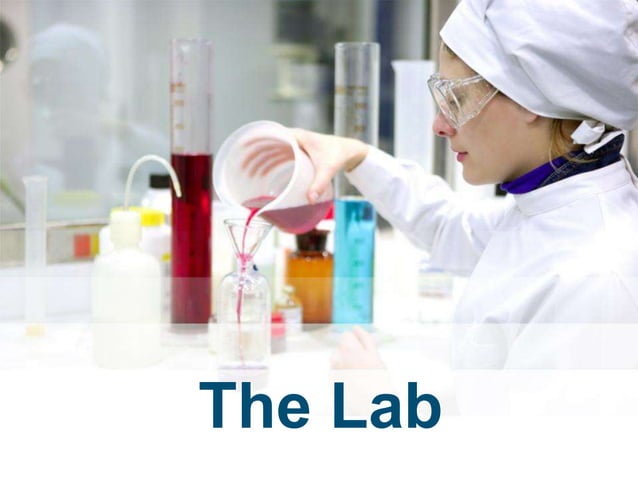 Science Lab Overview for Thai First Graders | PPTX