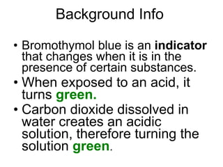 Lab – photosynthesis & respiration | PPT