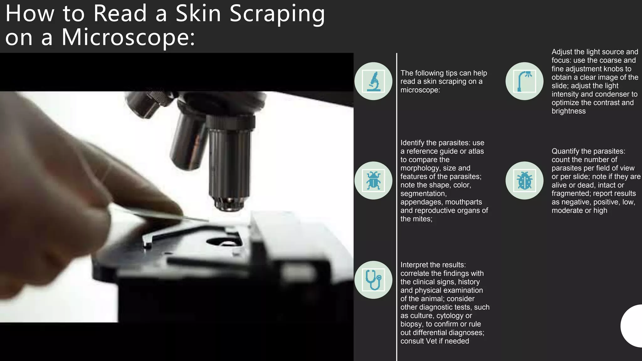 Lab Powerpoint | PPTX