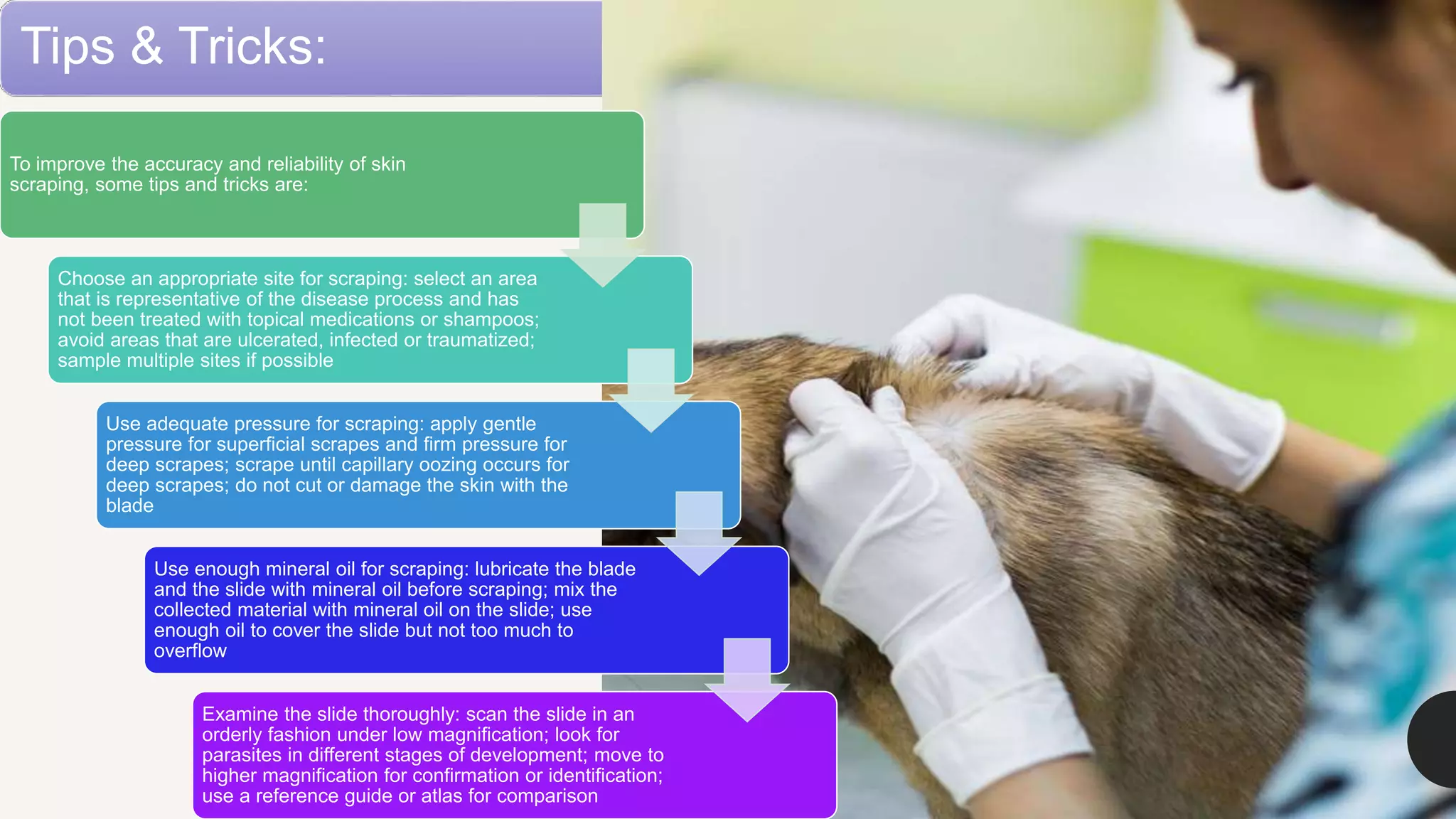 Lab Powerpoint | PPTX