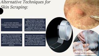 Lab Powerpoint | PPTX