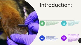 Lab Powerpoint | PPTX