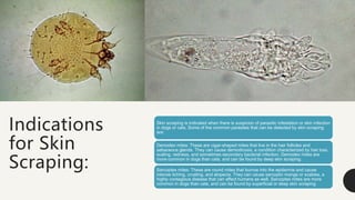 Lab Powerpoint | PPTX