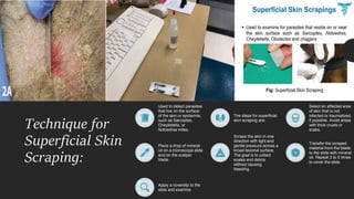 Lab Powerpoint | PPTX