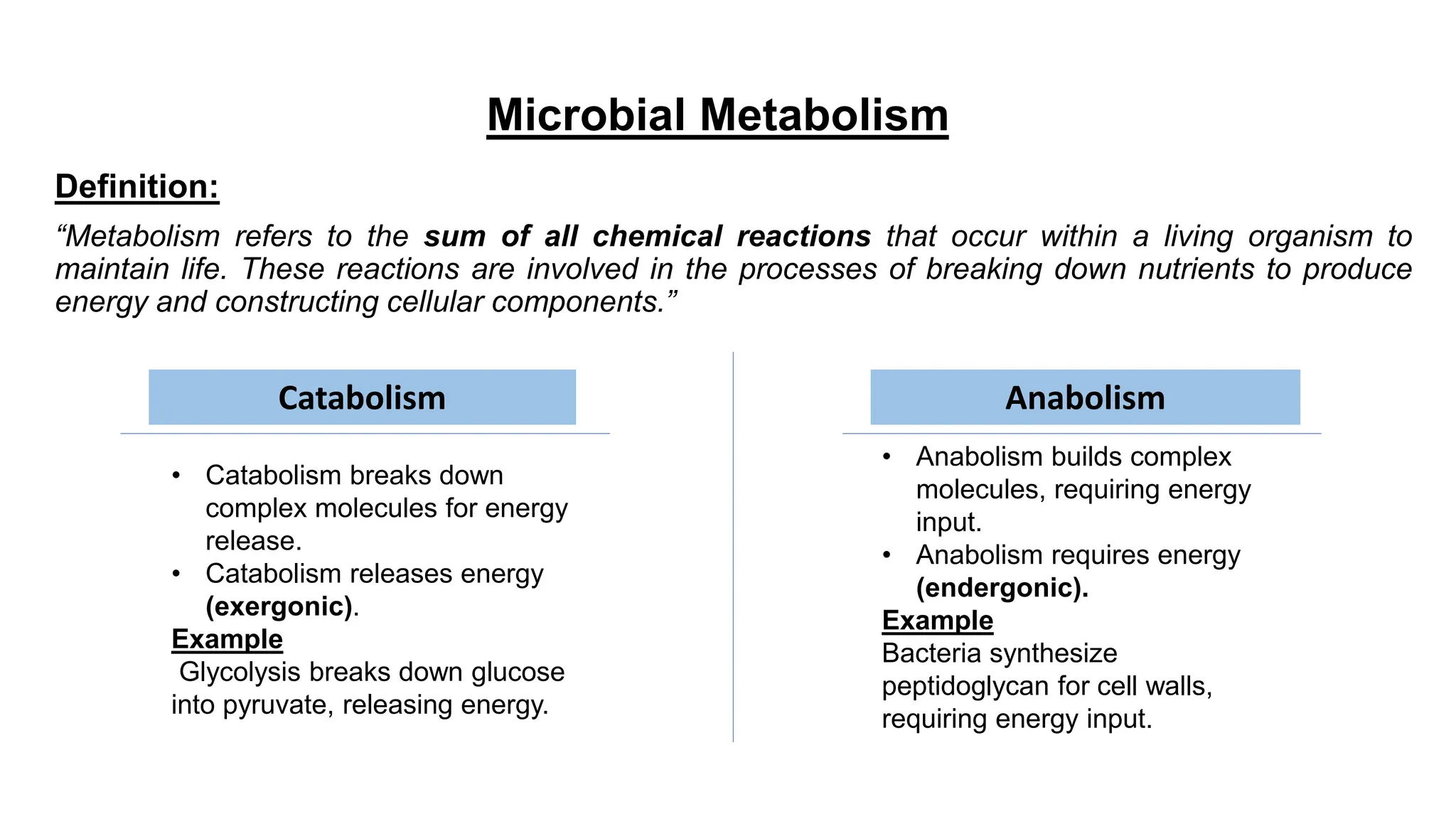 Metabolic pathways in Micro organisms.pptx
