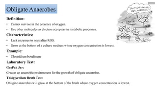 Metabolic pathways in Micro organisms.pptx
