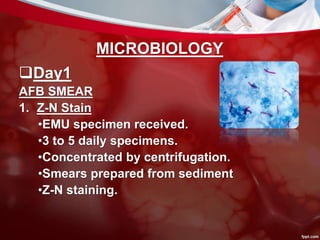 NON-PULMONARY TUBERCULOSIS(RENAL TB) | PPTX