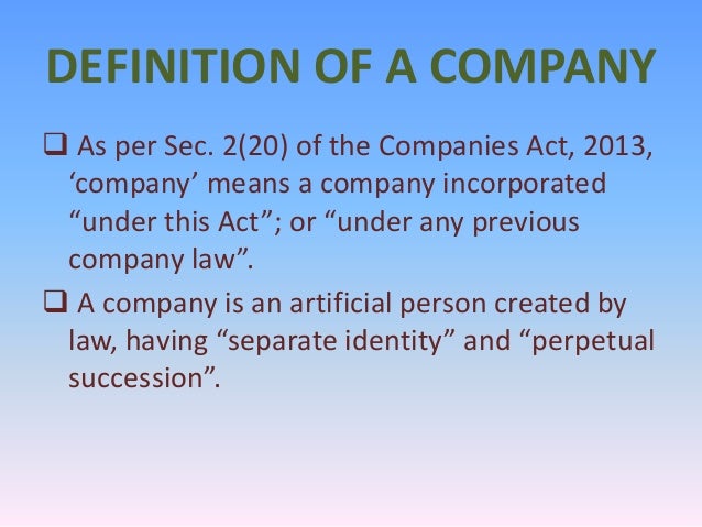 nature and definition of a company