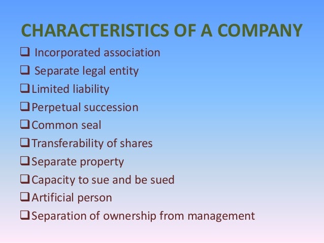 nature and definition of a company