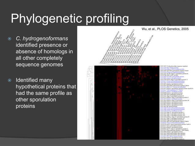 HMMER 3 & Community Profiling | PPTX