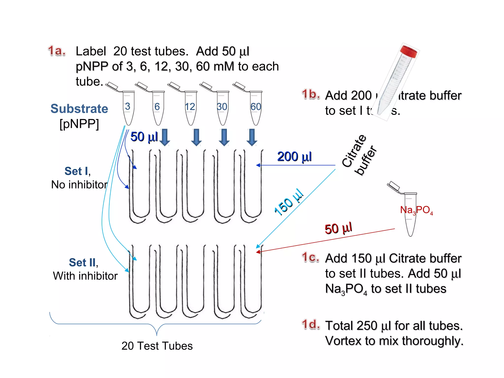 Lab protocol exp 6 | PPT