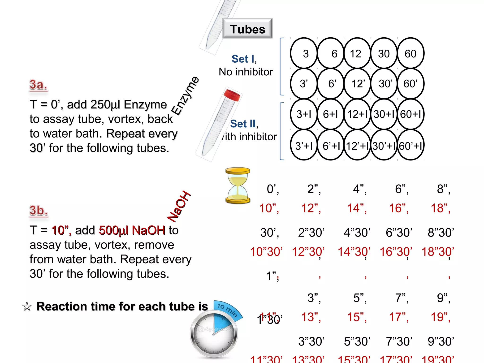 Lab protocol exp 6 | PPT