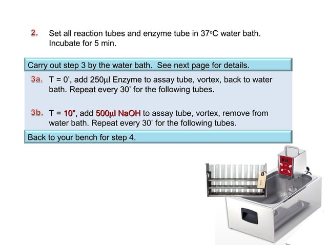 Lab protocol exp 6 | PPT