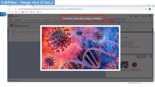LabPulse experiment | PPT