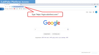 LabPulse experiment | PPT