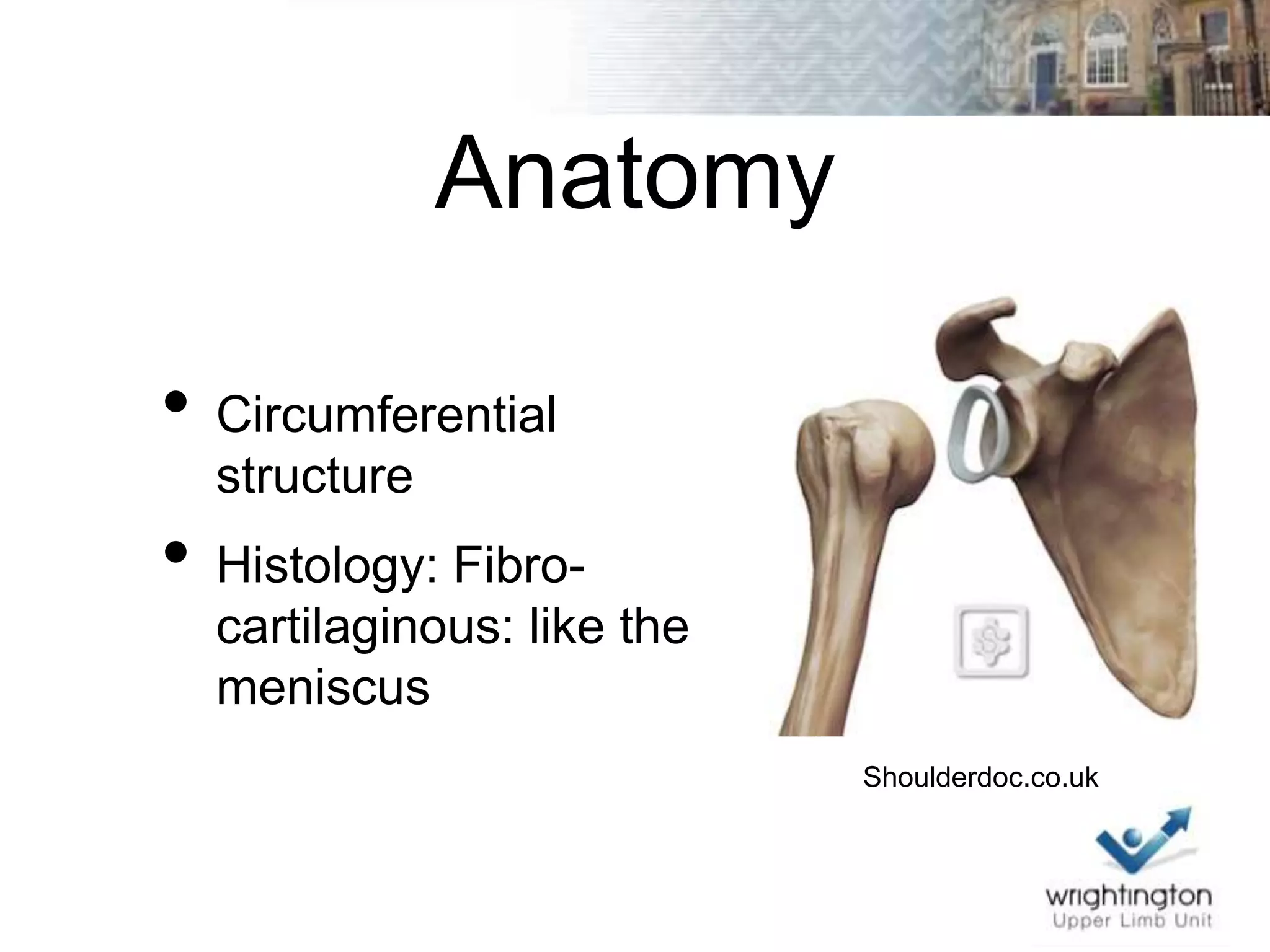 Labral injuries and traumatic instability | PPT