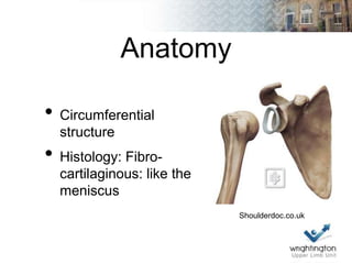 Labral injuries and traumatic instability | PPT