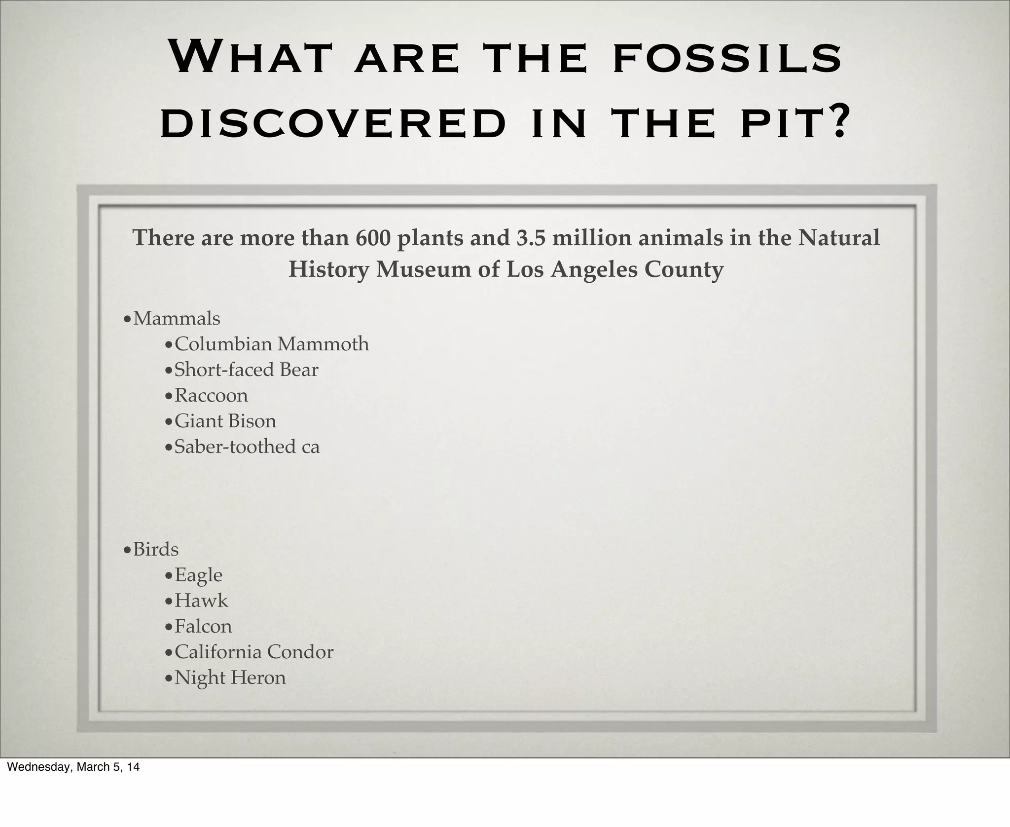 La brea tar pit presentation | PPT