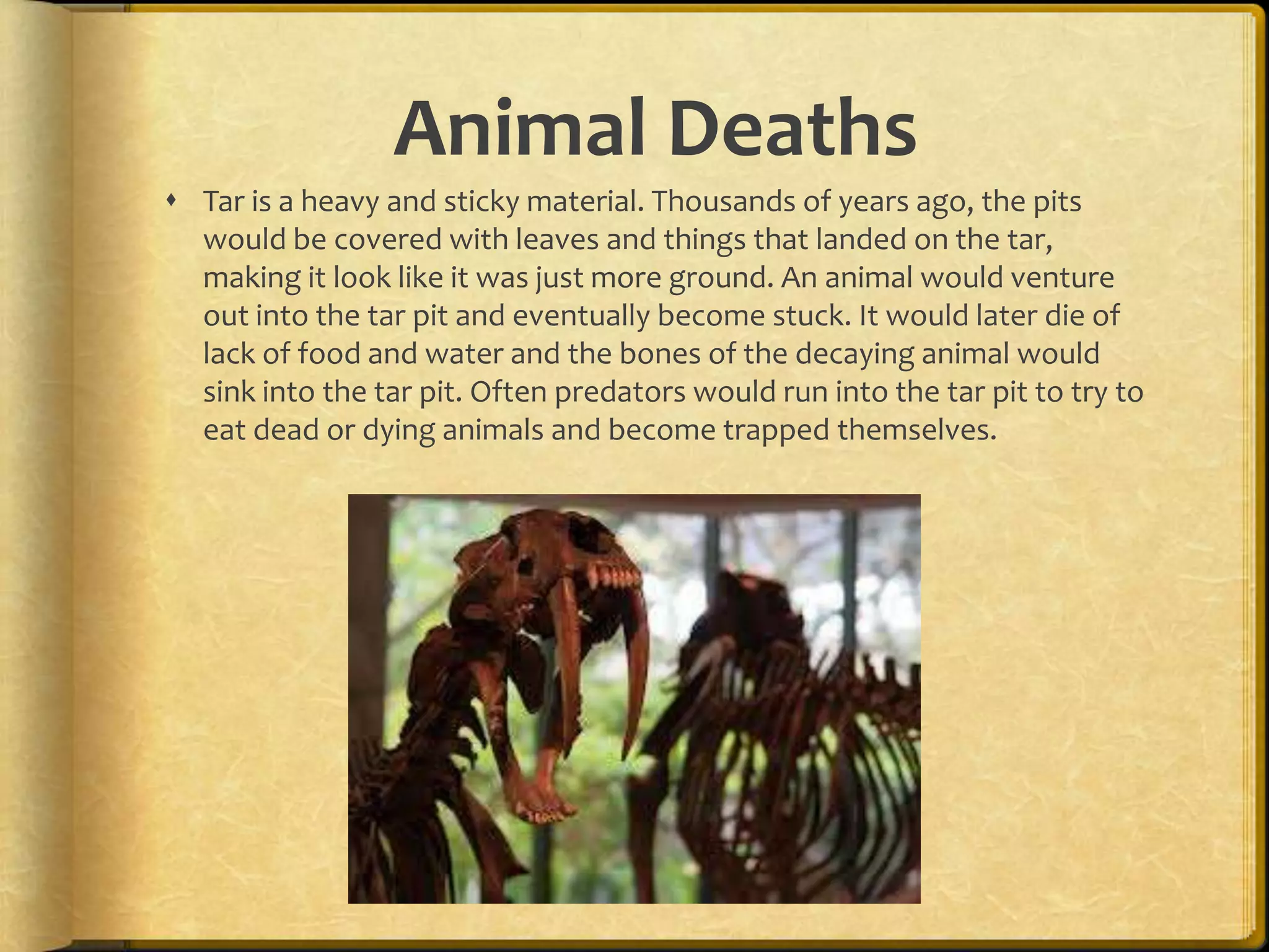La Brea Tar Pits | PPTX