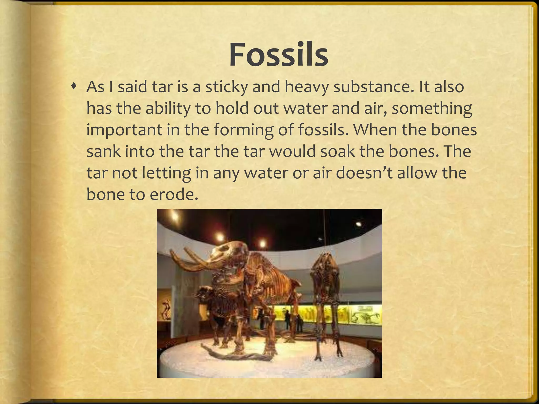 La Brea Tar Pits | PPTX