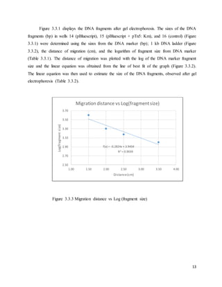Evaluation of the lacZ gene in Escherichia coli mutagenesis using ...