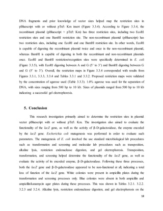 Evaluation of the lacZ gene in Escherichia coli mutagenesis using ...