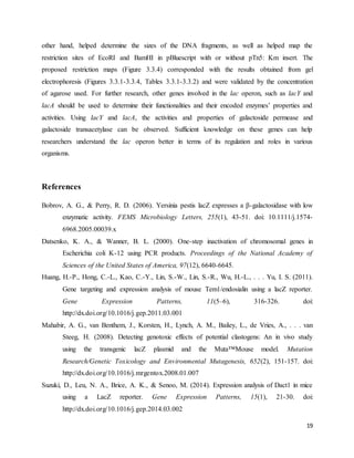 Evaluation of the lacZ gene in Escherichia coli mutagenesis using ...