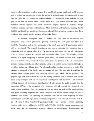 Evaluation of the lacZ gene in Escherichia coli mutagenesis using ...