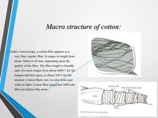 Introduction about cotton (Brife) | PDF