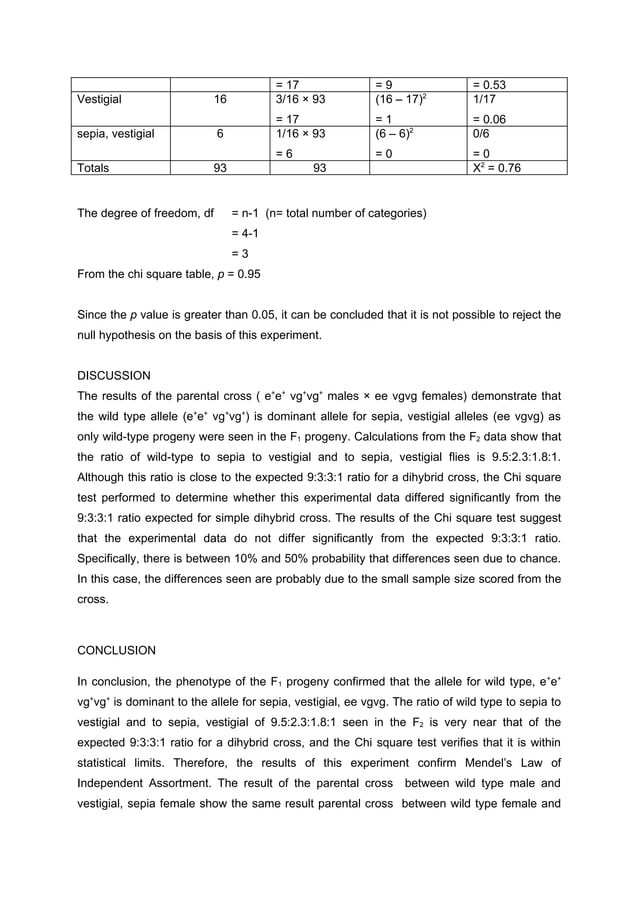 LAB REPORT DROSOPHILA MELANOGASTER | DOC