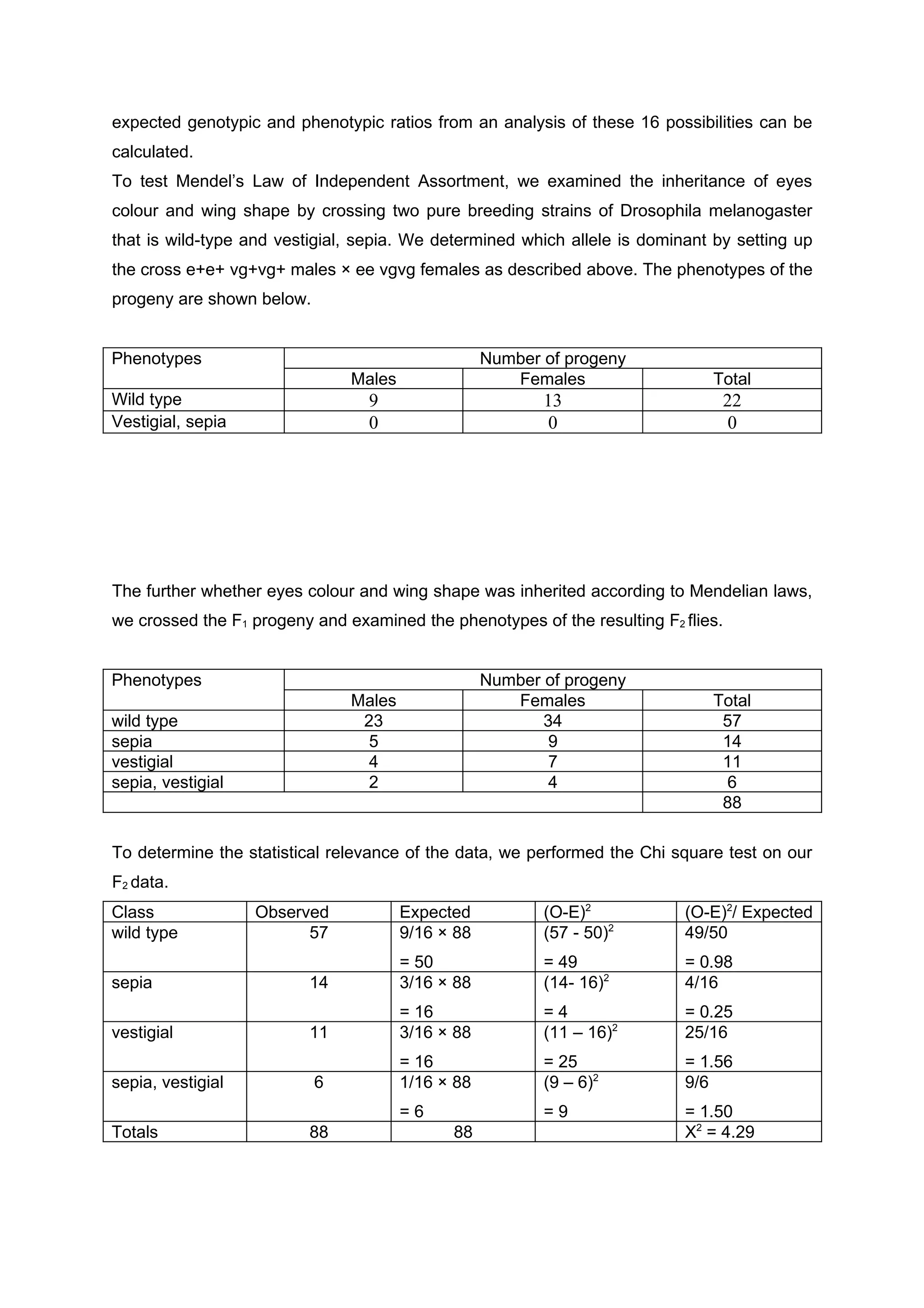 LAB REPORT DROSOPHILA MELANOGASTER | DOC